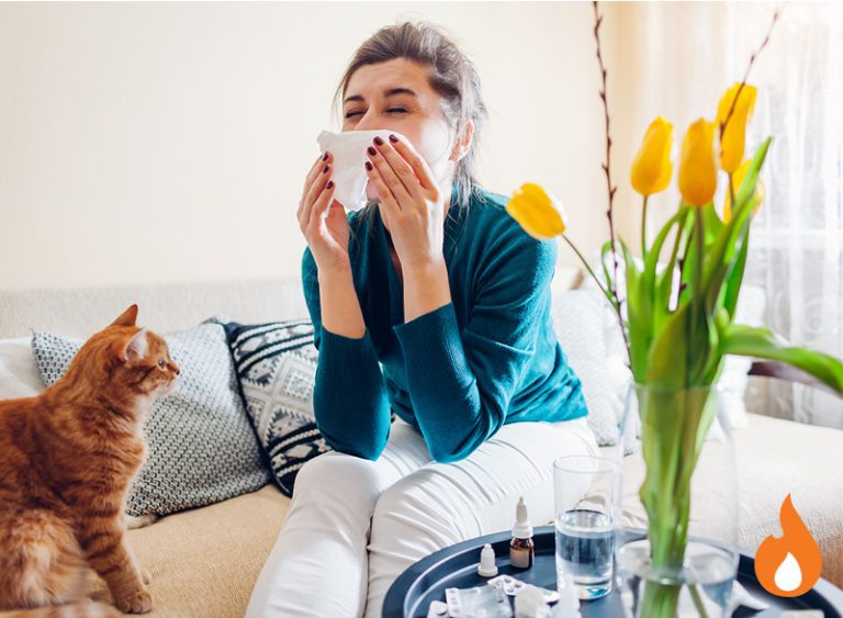 Fred's Energy. Your best choice for plumbing, heating and more!