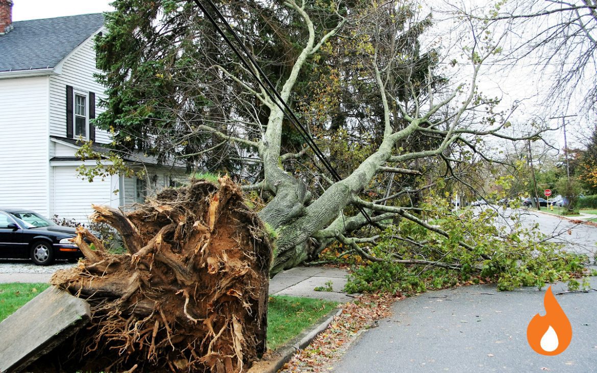 Fred's Energy. Your best choice for plumbing, heating and more!